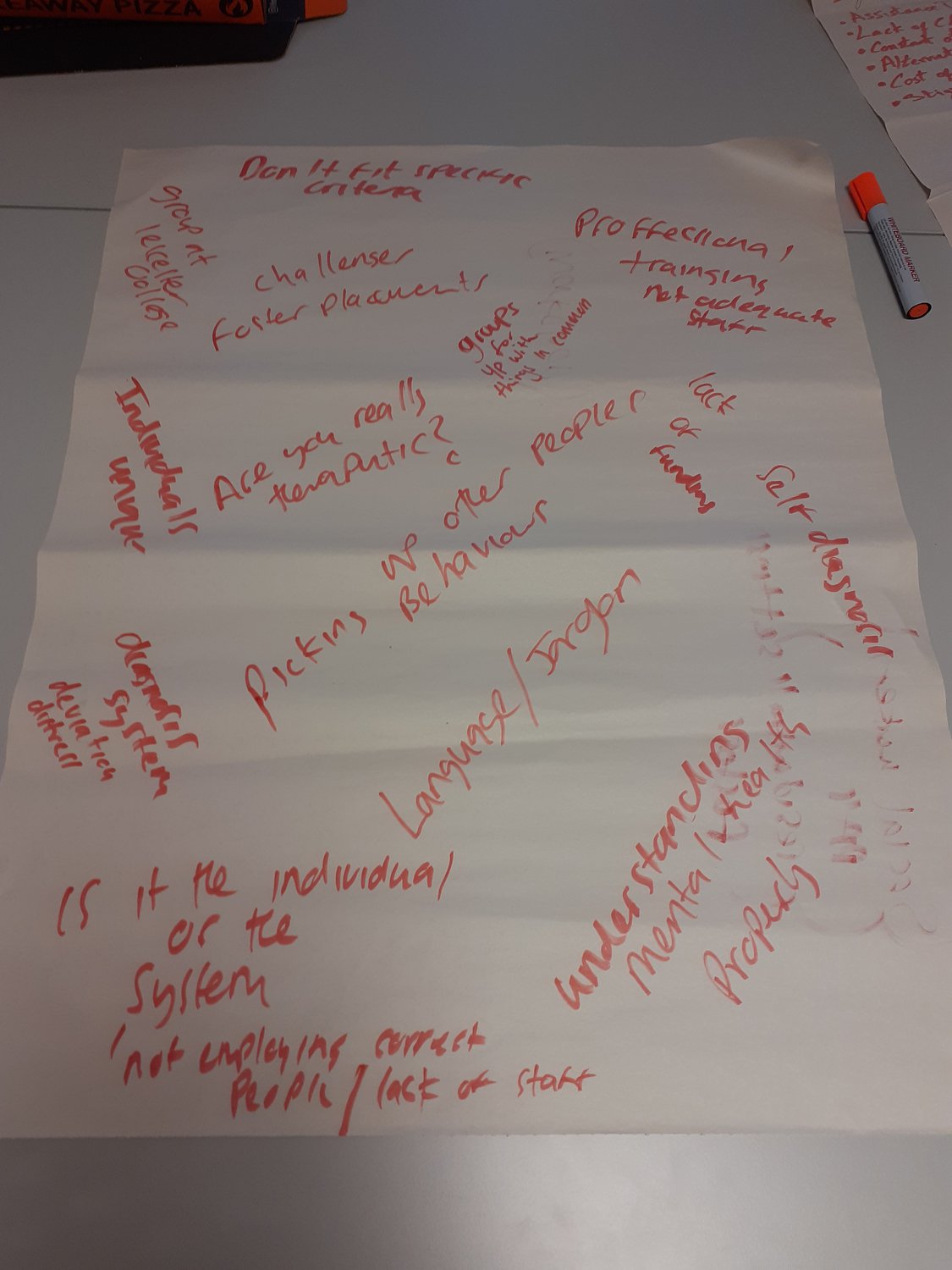 Mental health and care experienced young people – ExChange